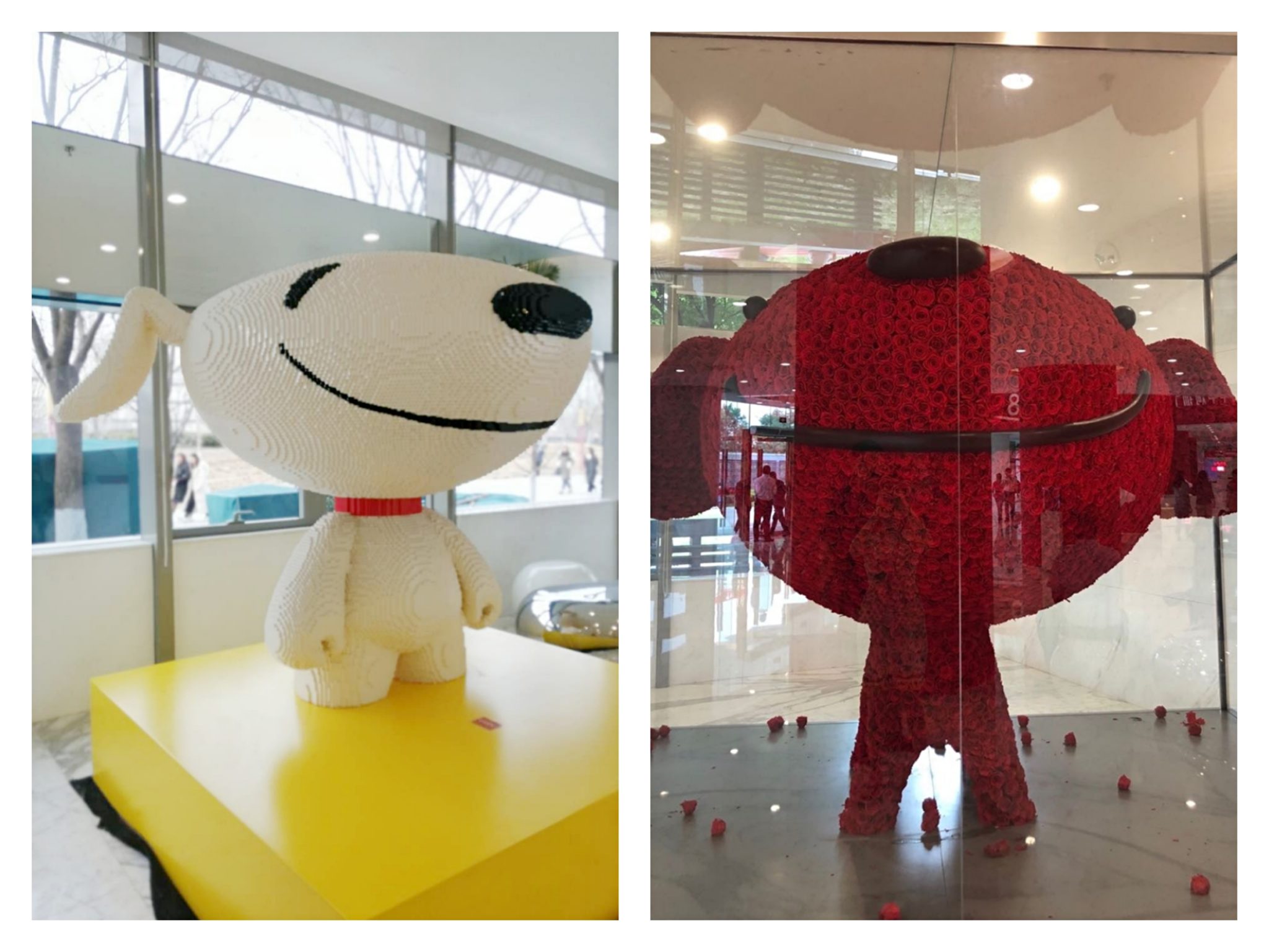 JD.com Celebrates JOY’s 7th Birthday - JD Corporate
