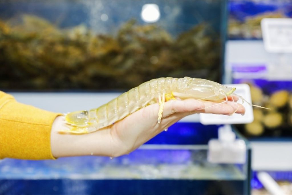 Biggest SEVEN FRESH Store in South China Opens - JD Corporate Blog