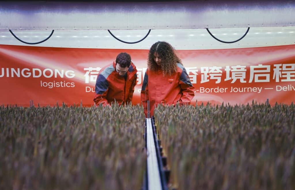 JD Logistics Accelerates Global Expansion with New Express Delivery ...