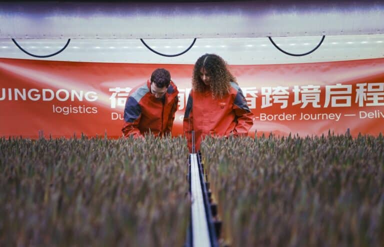 JD Logistics to Double Overseas Warehousing Capacity by End of 2025 ...